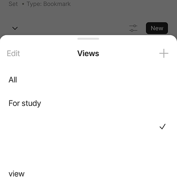 Invisible/empty View name - Bug Cemetary - Anytype Community