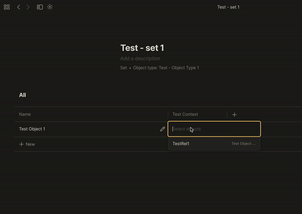 Can Not Create Object Type1 Typerelobj In Relation Field Objtype1rel On Set1 Page Of Objects